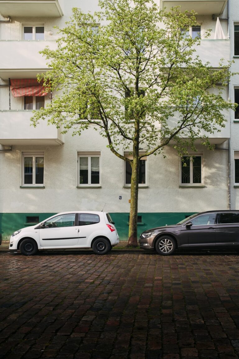 Hatchback vs Sedan vs SUV – Which is Right for You? - Car Insight Hub